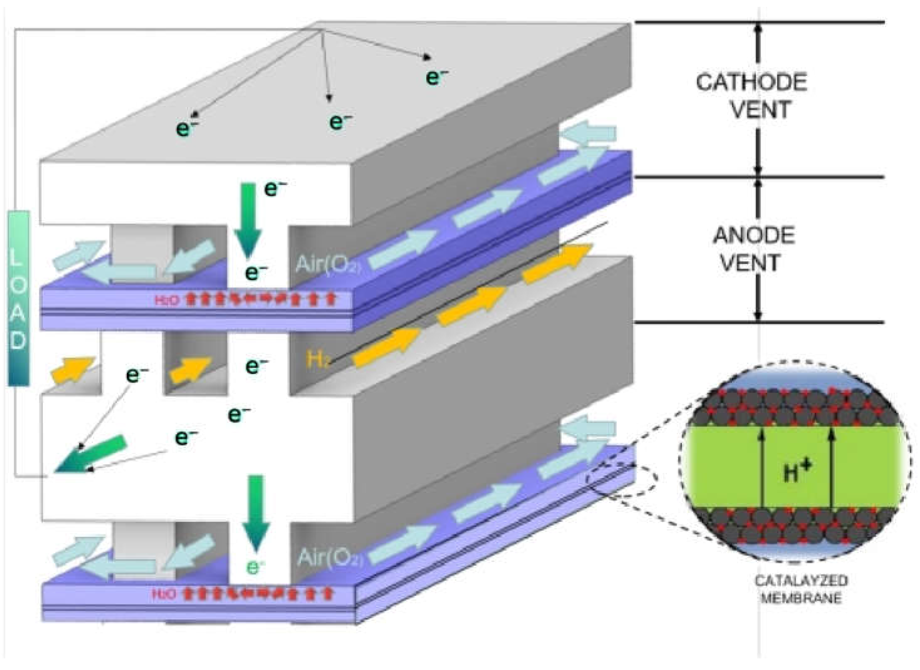 Design of a New Single-Cell Flow Field Based on the Multi-Physical Coupling Simulation for PEMFC ...