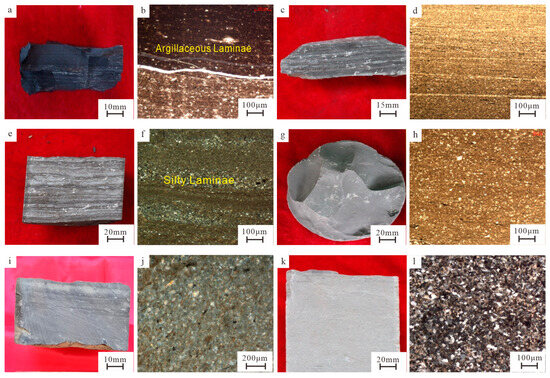 Characteristics and Key Controlling Factors of the Interbedded-Type ...