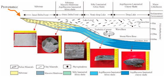 Characteristics and Key Controlling Factors of the Interbedded-Type ...