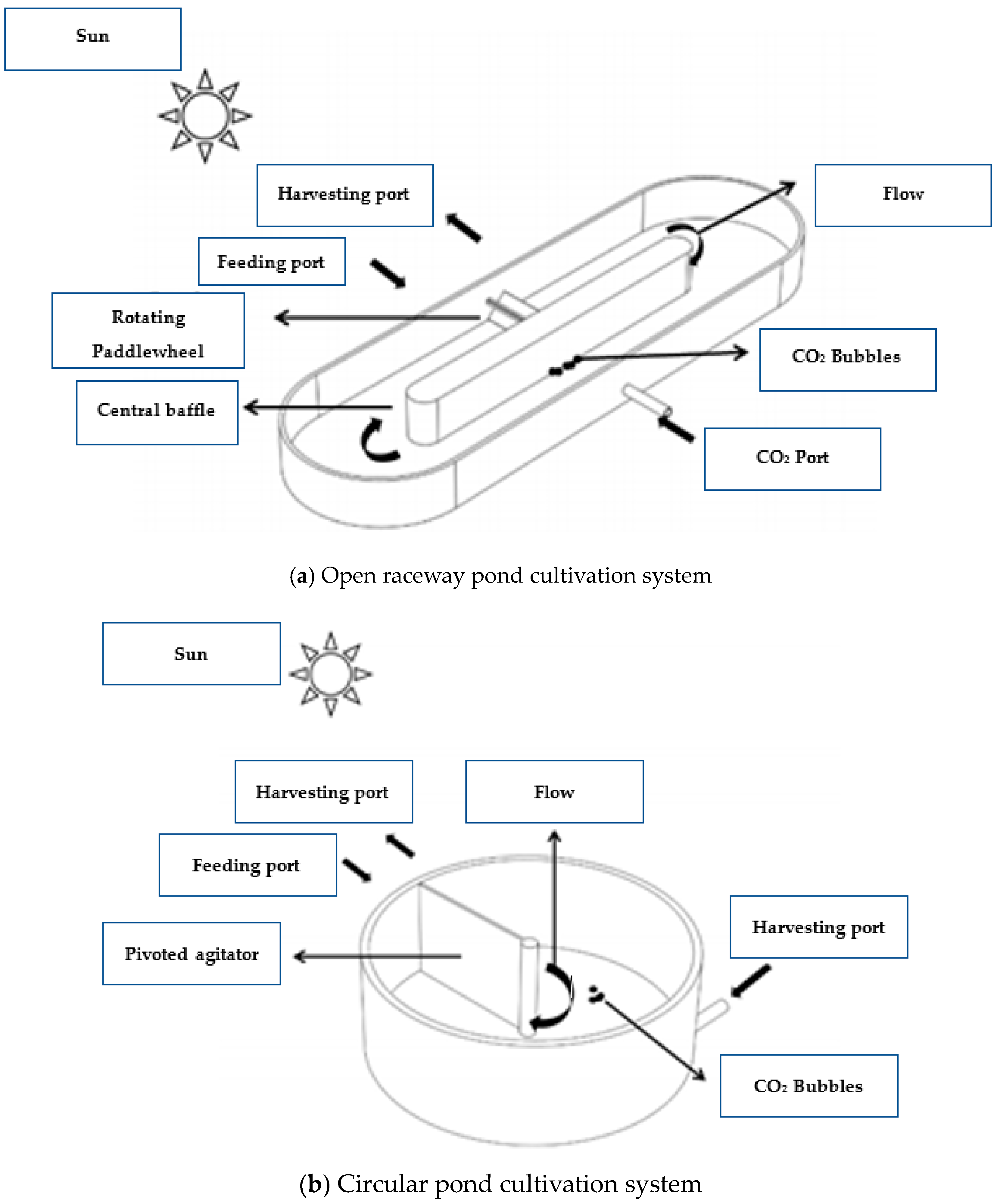 Energies | Free Full-Text | Importance of Microalgae and Municipal Waste in Bioenergy Products ...