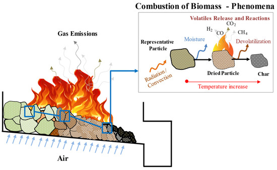 Energies | Free Full-Text | A Review of Biomass Thermal Analysis, Kinetics and Product ...