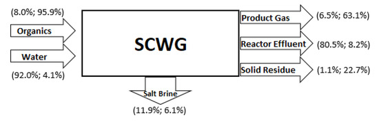 Energetic Assessment of SCWG Experiments with Reed Canary Grass and ...