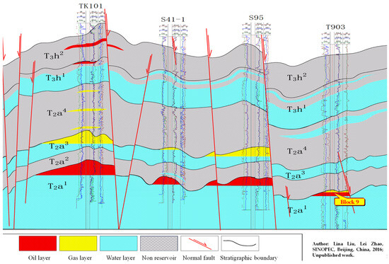 Integrated Geomodel Accuracy Enhancement Based on Embedded MPS ...