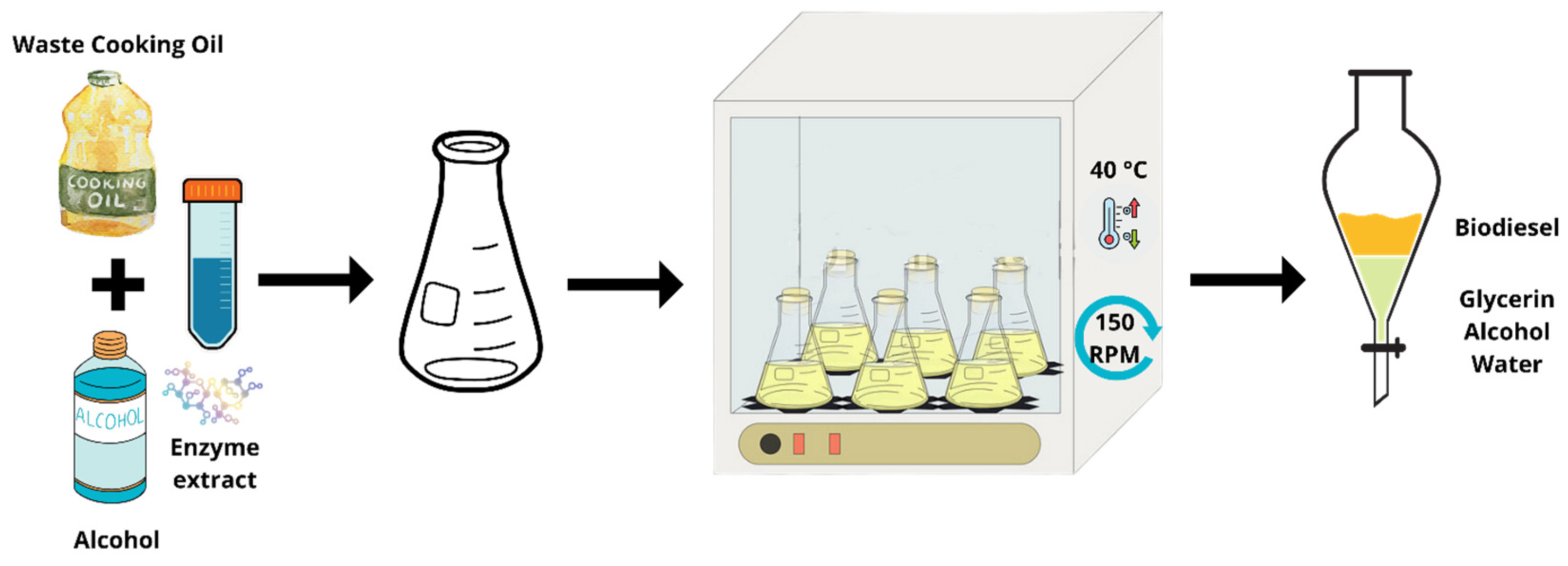 Biocatalyzed Transesterification of Waste Cooking Oil for Biodiesel ...