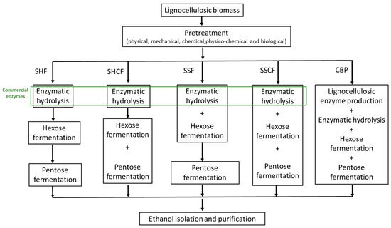 Energies | Free Full-Text | The Production of Bioethanol from Lignocellulosic Biomass ...