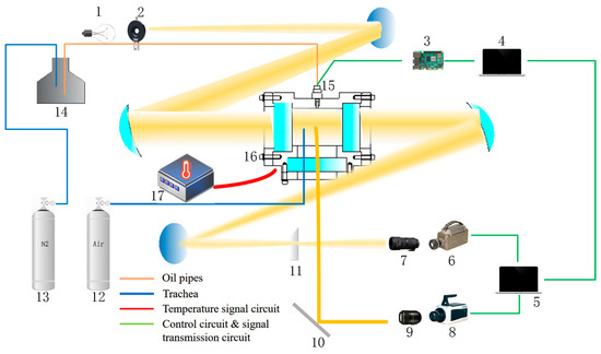 Experimental Study on Macroscopic Spray and Fuel Film Characteristics ...