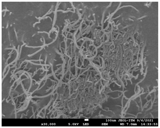 Ignition Delay and Burning Rate Analysis of Diesel–Carbon Nanotube ...