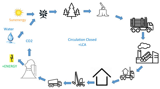 Optimizing Forest-Biomass-Distribution Logistics from a Multi-Level ...