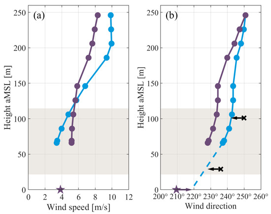 Wind Farm Blockage Revealed by Fog: The 2018 Horns Rev Photo Case