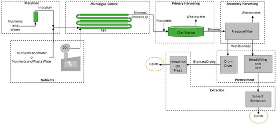 Evaluation of Technical and Economic Indicators for the Production ...