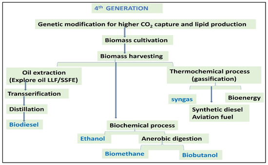 Biomass Resources and Biofuel Technologies: A Focus on Indian Development