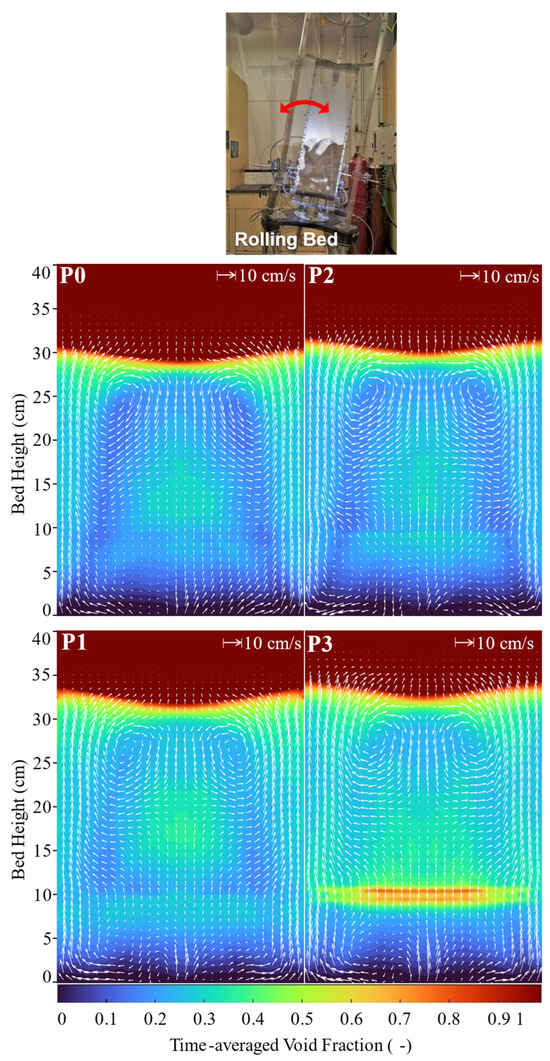 Hydrodynamic Insights on Floating Bubbling Fluidized Beds: Dynamic ...