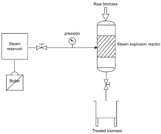 Lignocellulosic Biomass Valorisation by Coupling Steam Explosion ...
