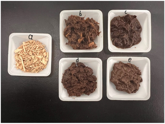 Lignocellulosic Biomass Valorisation by Coupling Steam Explosion Treatment and Anaerobic Digestion