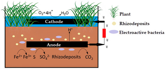 State of the Art and Environmental Aspects of Plant Microbial Fuel Cells’ Application