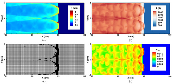 BYCFoam: An Improved Solver for Rotating Detonation Engines Based on OpenFOAM