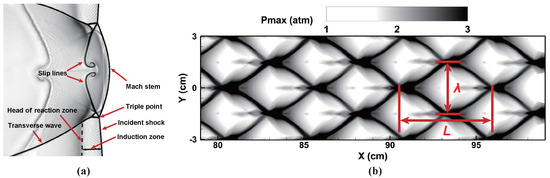 BYCFoam: An Improved Solver for Rotating Detonation Engines Based on OpenFOAM