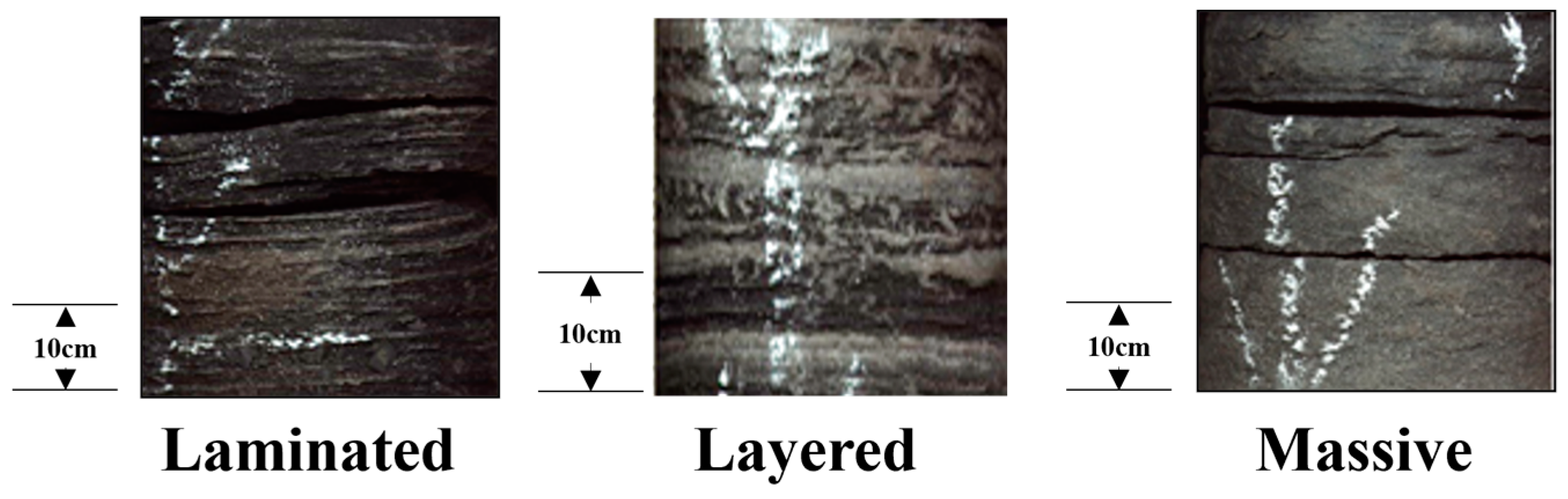 Lithofacies Characteristics of Gulong Shale and Its Influence on ...