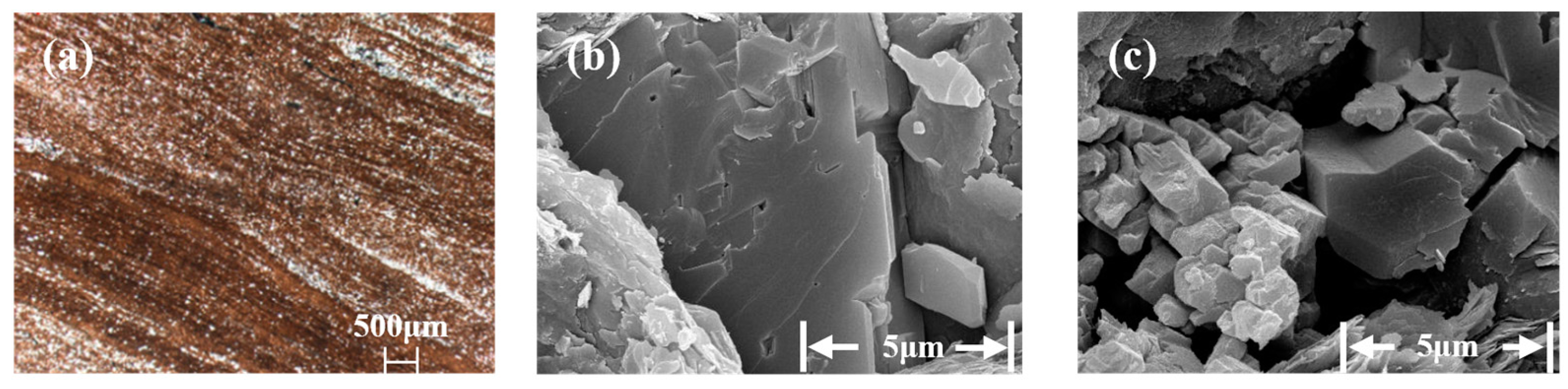 Lithofacies Characteristics of Gulong Shale and Its Influence on ...