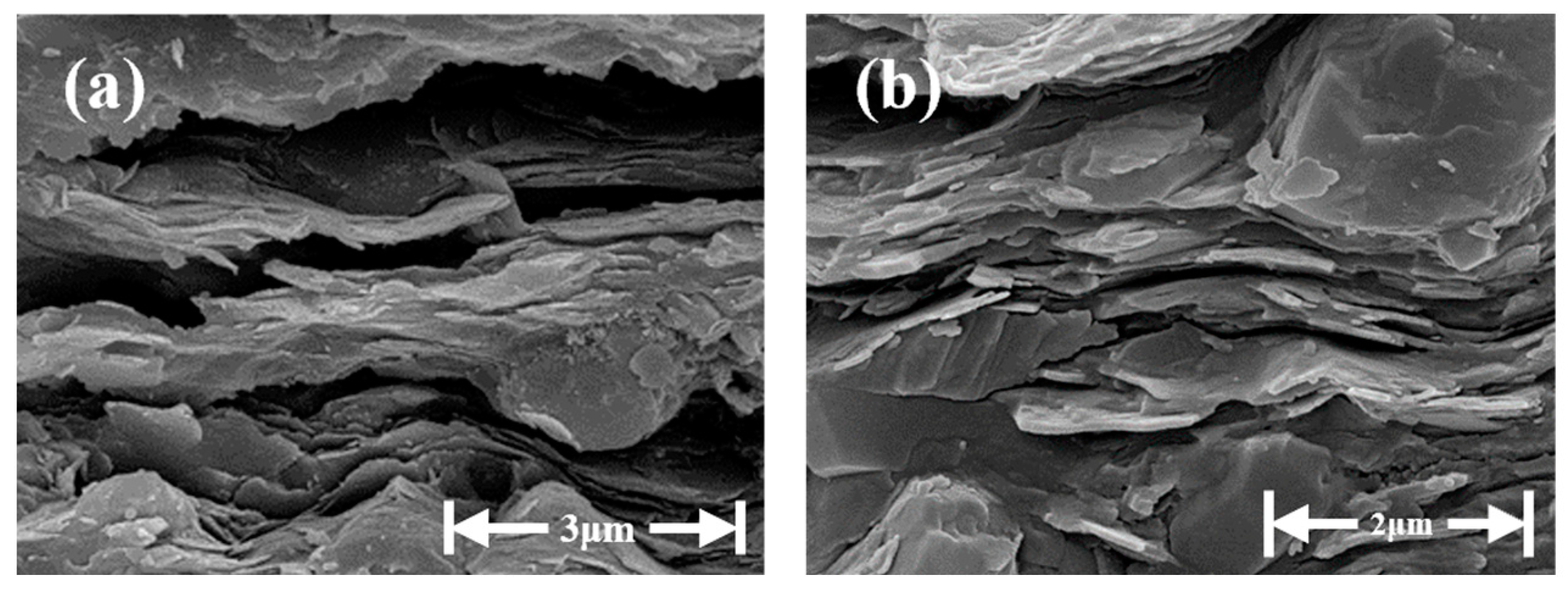 Lithofacies Characteristics of Gulong Shale and Its Influence on ...