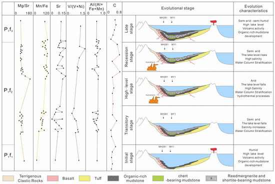 Heterogeneity and Sedimentary Characteristics of Shale Laminae of Fine ...