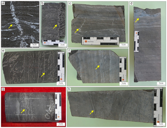 Heterogeneity and Sedimentary Characteristics of Shale Laminae of Fine ...