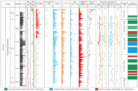 Heterogeneity and Sedimentary Characteristics of Shale Laminae of Fine ...
