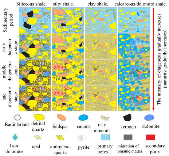 Research on the Shale Porosity–TOC Maturity Relationship Based on an ...