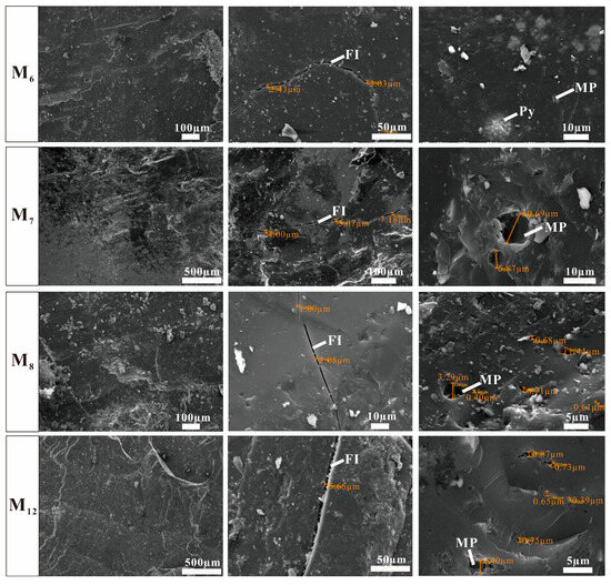 Geological Constraints on the Gas-Bearing Properties in High-Rank Coal ...