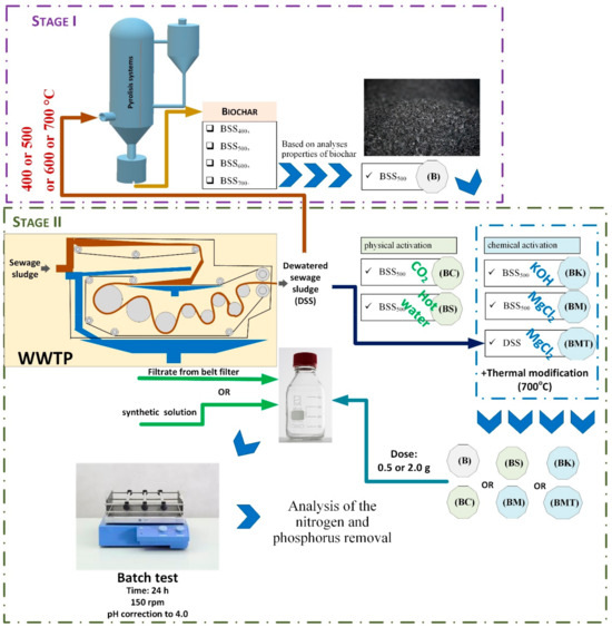 Sewage Sludge-Derived Biochar and Its Potential for Removal of Ammonium ...