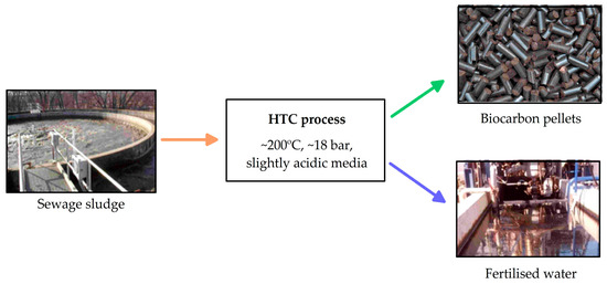 Conversion of Sewage Sludge into Biofuels via Different Pathways and ...