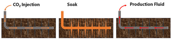 Integrated Study on Carbon Dioxide Geological Sequestration and Gas ...