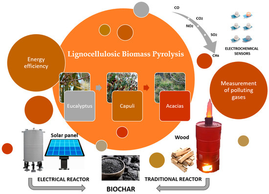 Energies | Free Full-Text | Energy Efficiency of Lignocellulosic Biomass Pyrolysis in Two Types ...