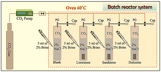Recent Advances in Geochemical and Mineralogical Studies on CO2–Brine ...