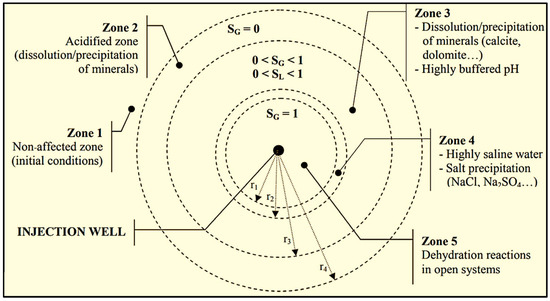 Recent Advances in Geochemical and Mineralogical Studies on CO2–Brine ...