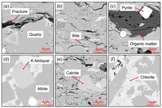 Analysis and Application of Fluid Components in High-Clay Matrix Shale ...