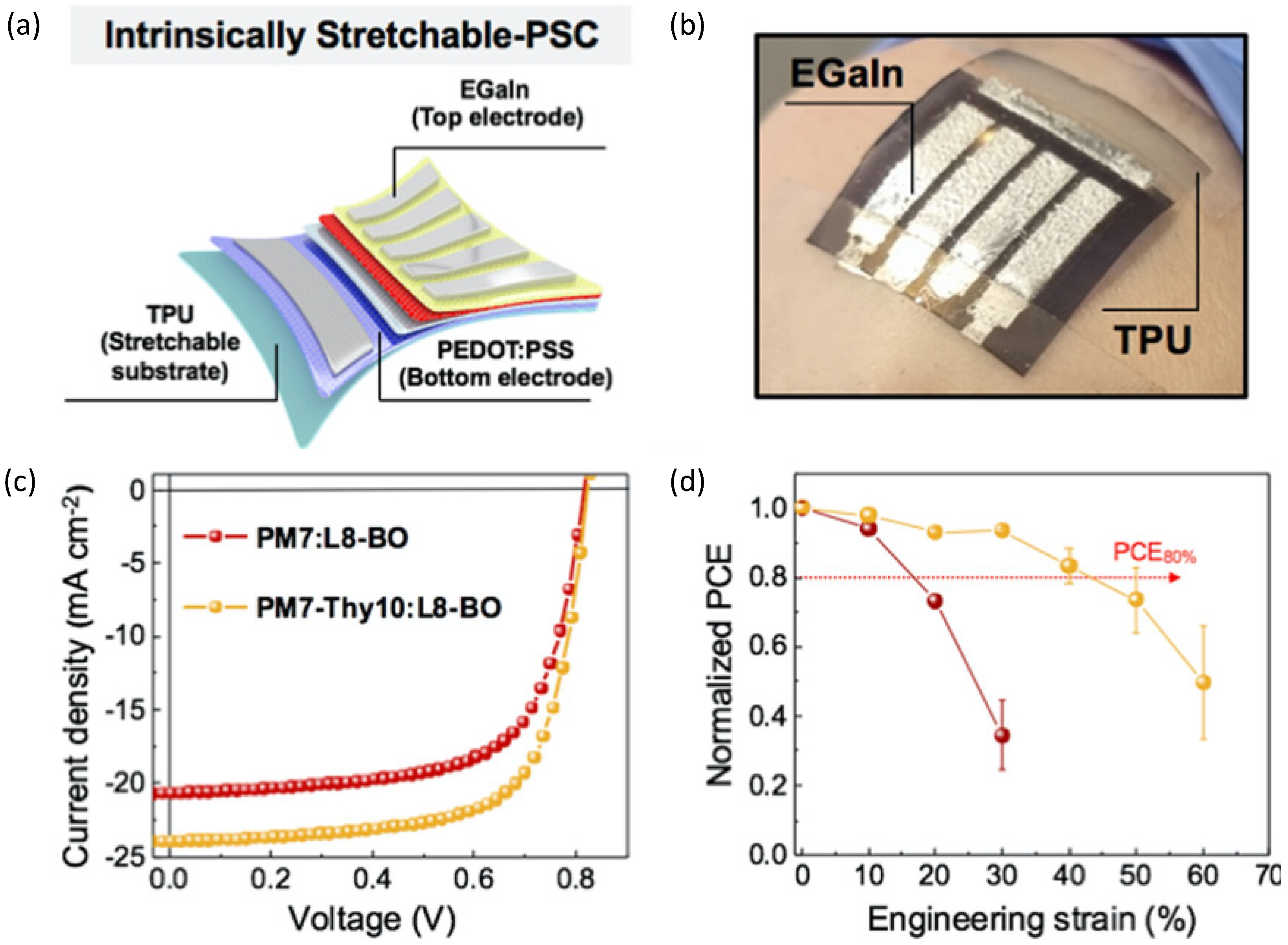 The Advancements and Challenges in Organic Photovoltaic Cells: A ...