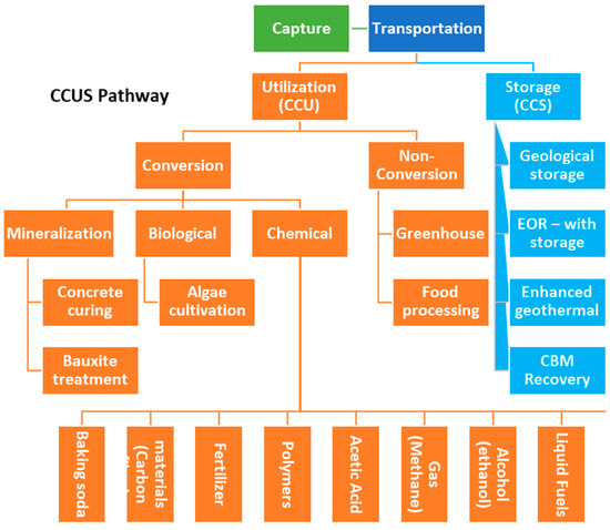 CCUS Perspectives: Assessing Historical Contexts, Current Realities ...