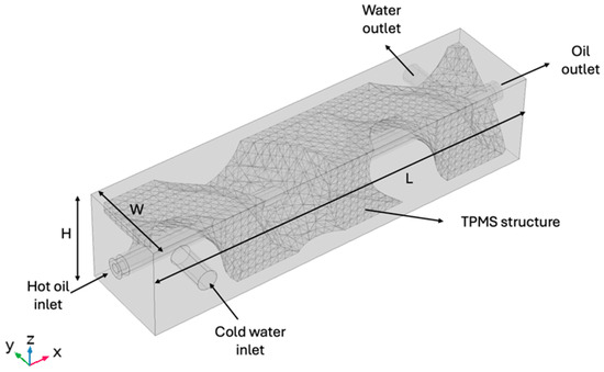 Convection Heat Transfer and Performance Analysis of a Triply Periodic Minimal Surface (TPMS ...
