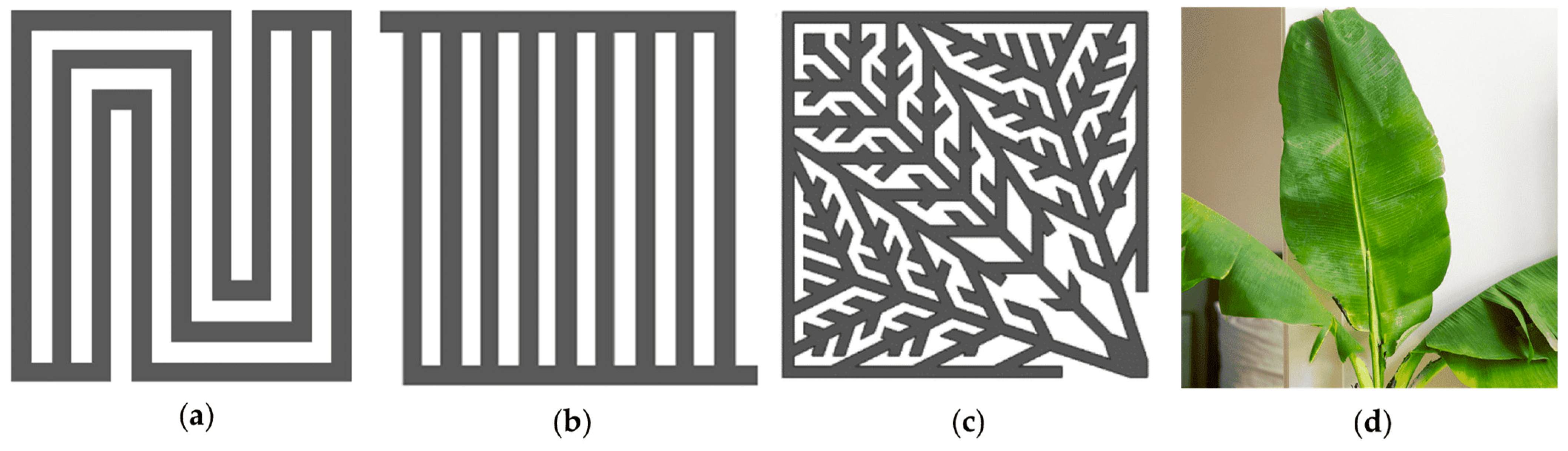Multi-Dimensional Modelling of Bioinspired Flow Channels Based on Plant ...