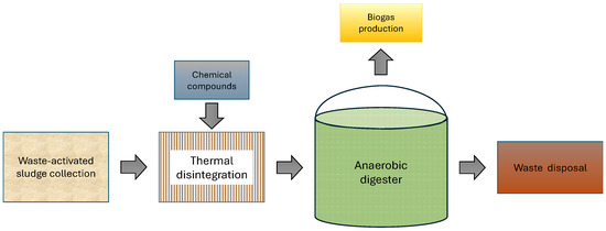 Thermal Disintegration of Waste-Activated Sludge