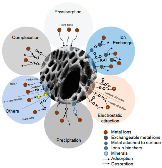 Engineered Biochar for Metal Recycling and Repurposed Applications