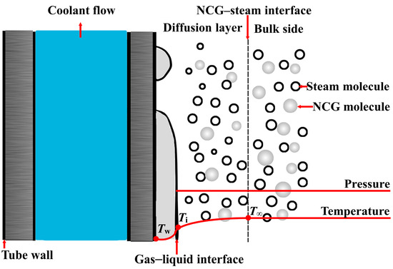 Experimental Investigation of Large-Scale Vertically Coated Tubes for ...