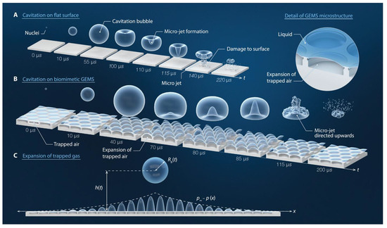Bionic Strategies for Pump Anti-Cavitation: A Comprehensive Review