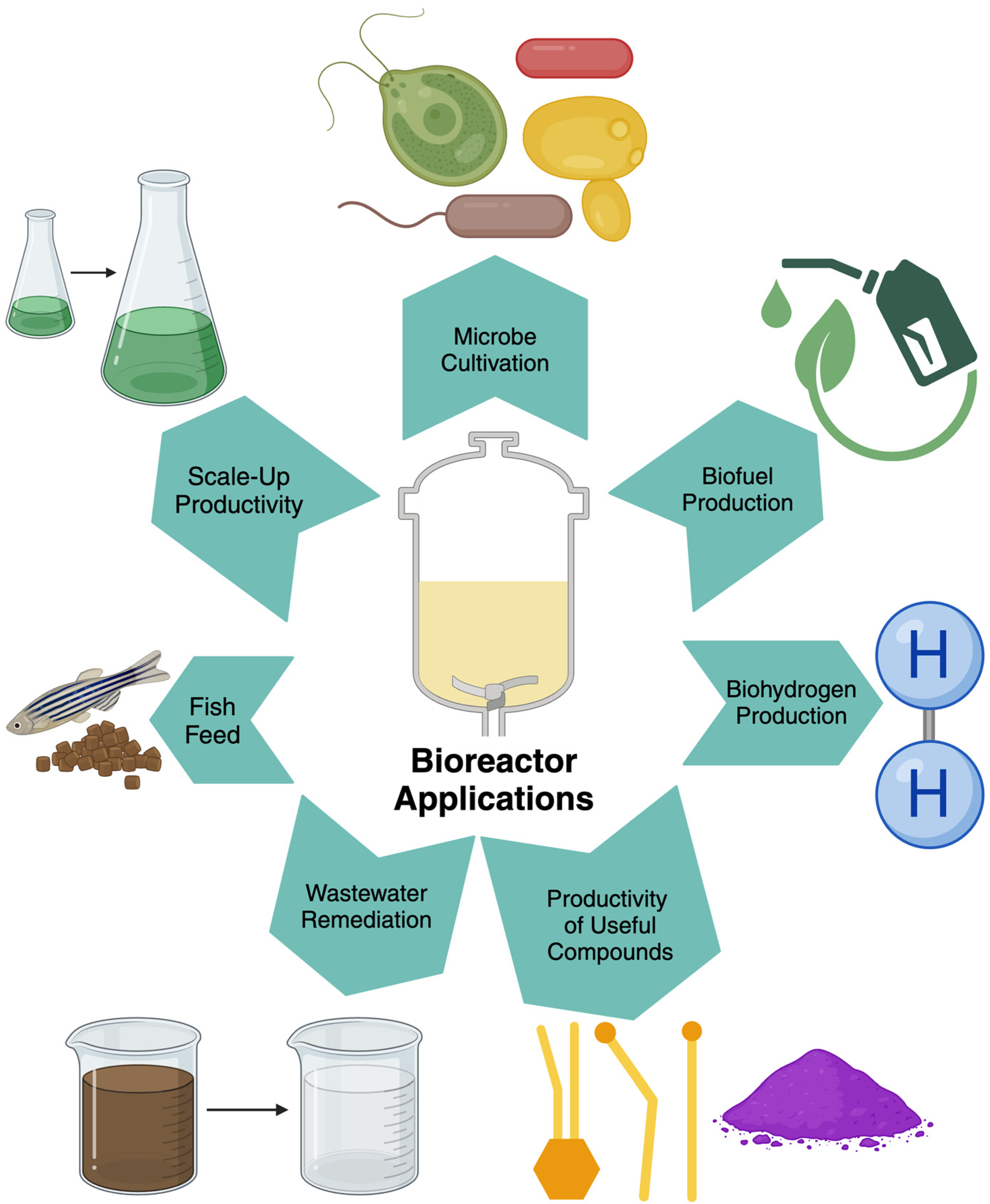 Exploring the Impact of Environmental Conditions and Bioreactors on ...