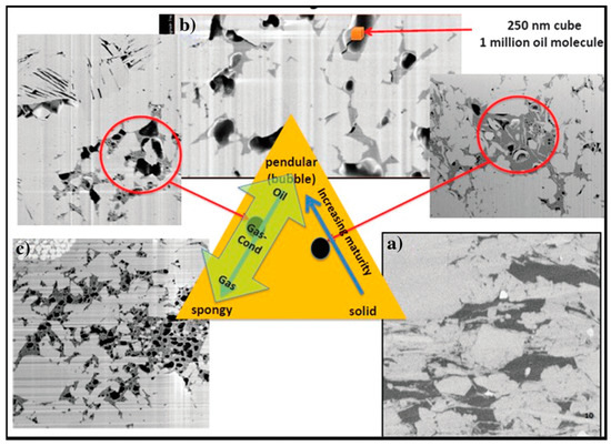 Rock Physics Modeling Studies on the Elastic and Anisotropic Properties ...