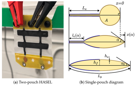 Generating Electricity with Hydraulically Amplified Self-Healing ...