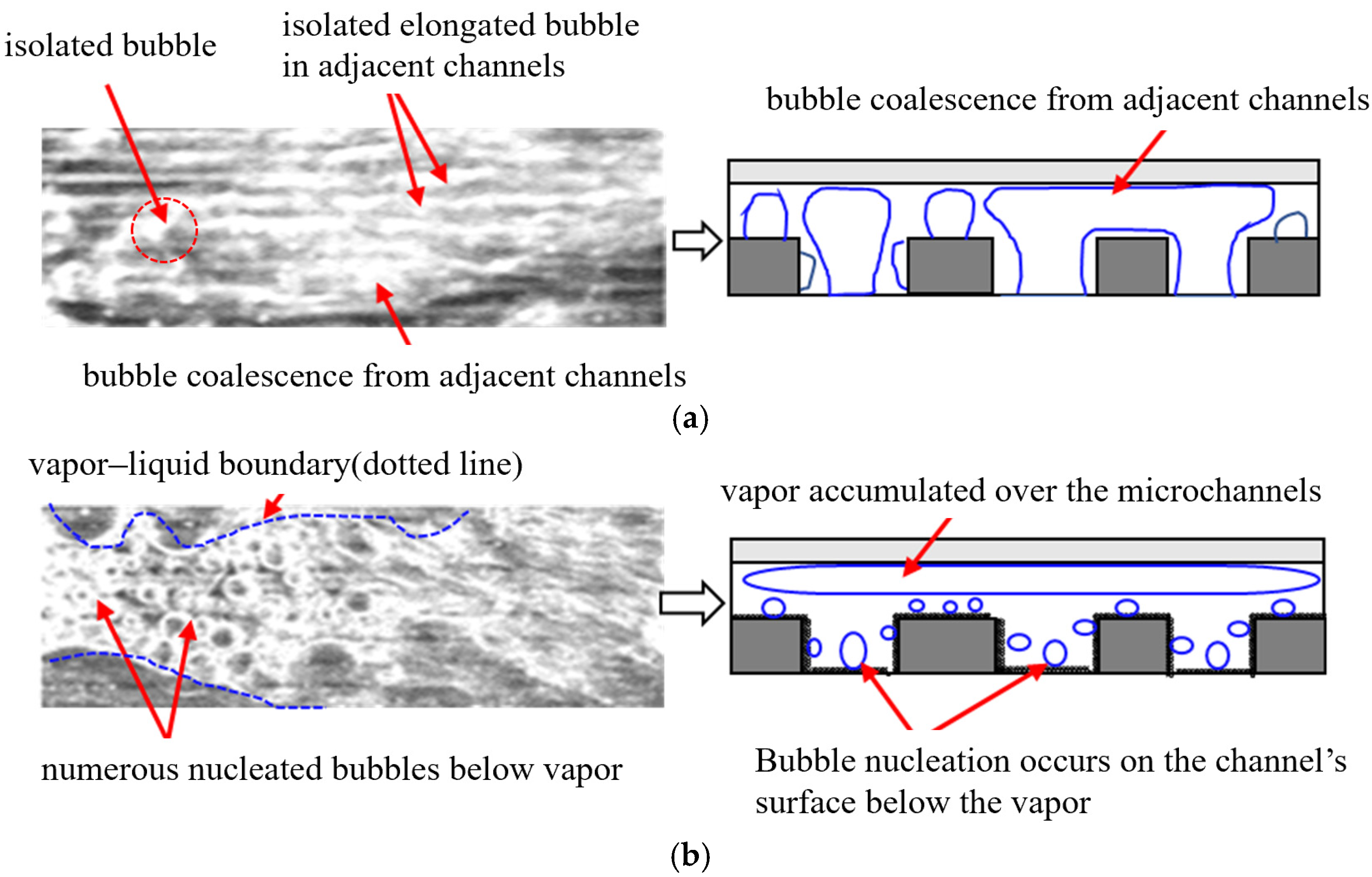 Experimental Study on Flow Boiling Heat Transfer Characteristics in Top-Connected Microchannels ...