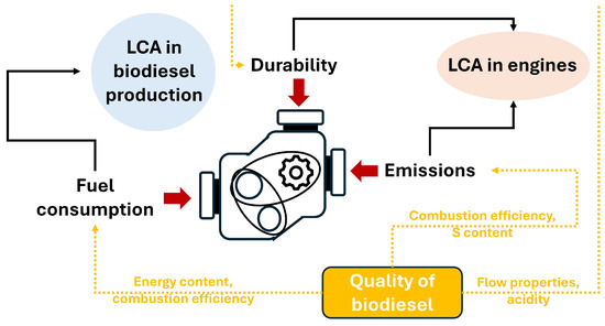 Biodiesel Production and Life Cycle Assessment: Status and Prospects