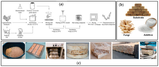 A Review of Mycelium Bio-Composites as Energy-Efficient Sustainable ...